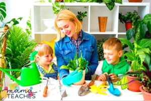 Spring Nature Activities - Mama Teaches