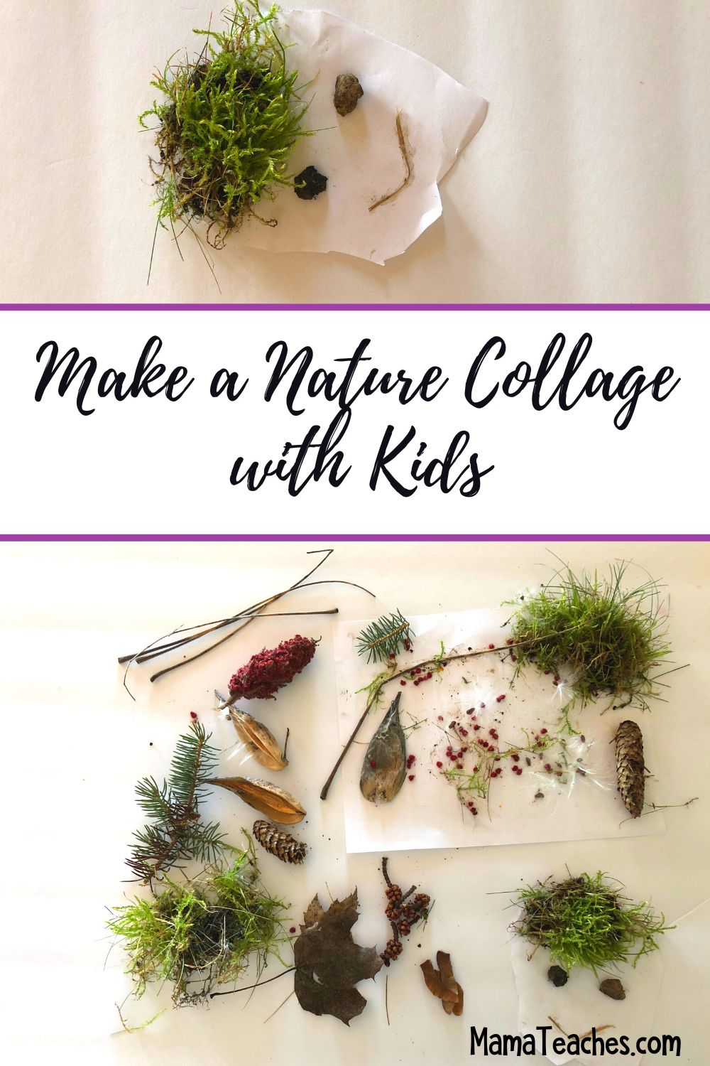 Make a Nature Collage with Kids - Mama Teaches