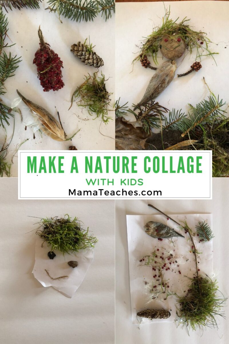 Make a Nature Collage with Kids - Mama Teaches