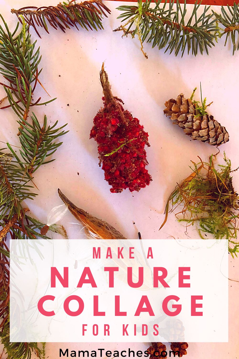 Make a Nature Collage with Kids - Mama Teaches