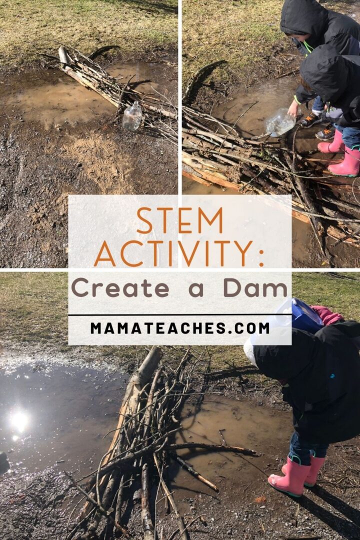 STEM Engineering Activity: Create a Dam - Mama Teaches