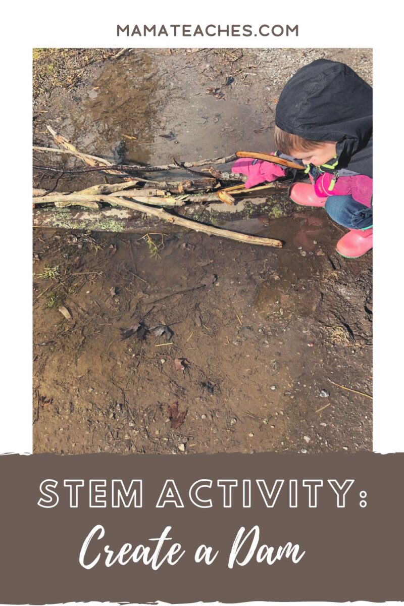 STEM Engineering Activity: Create a Dam - Mama Teaches