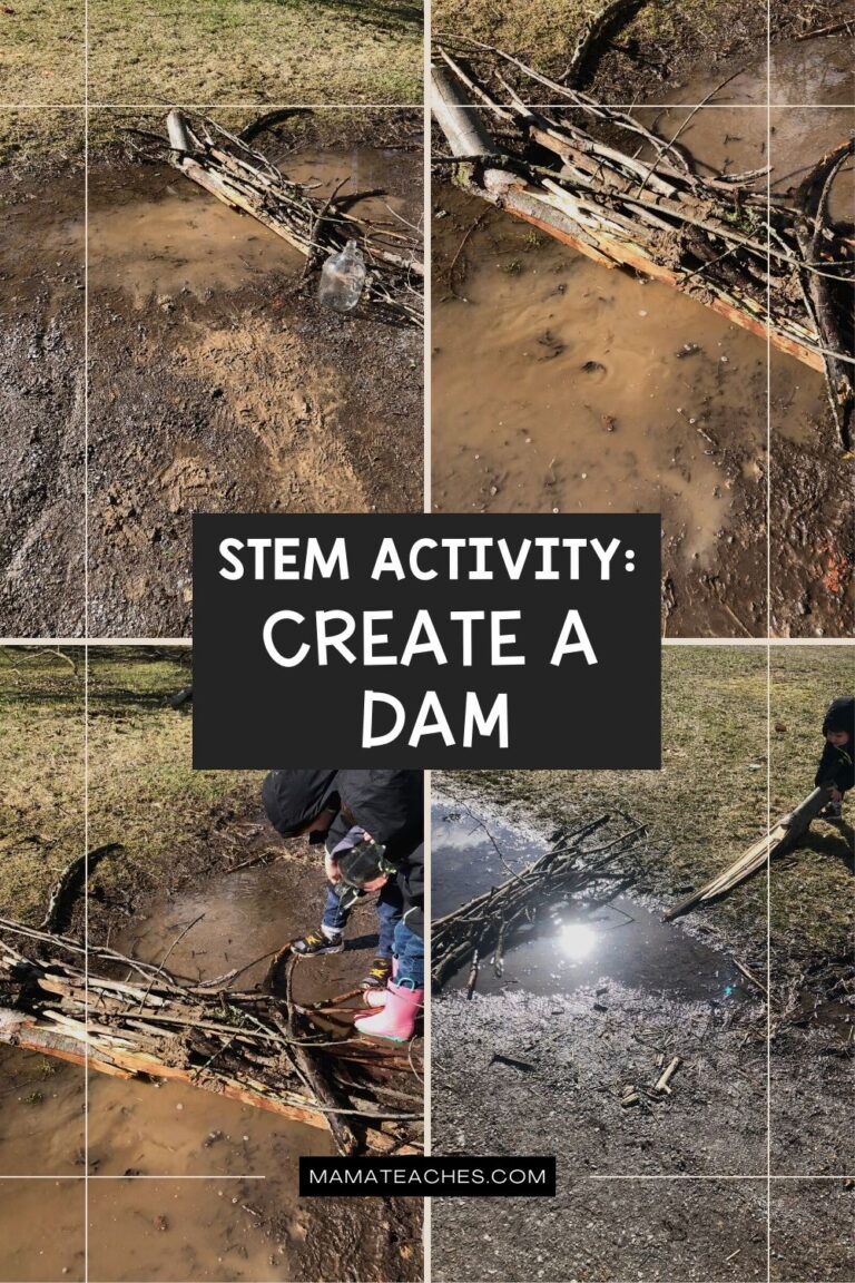 STEM Engineering Activity: Create a Dam - Mama Teaches