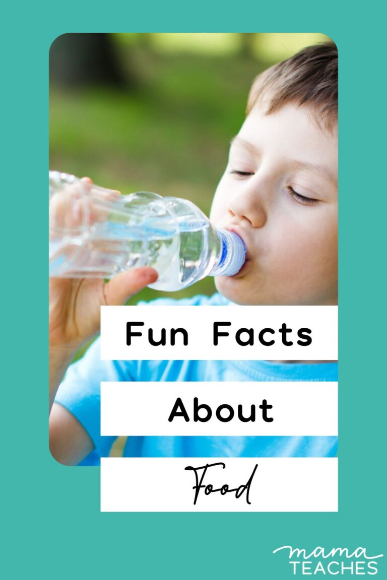 Fun Facts about Food - Mama Teaches