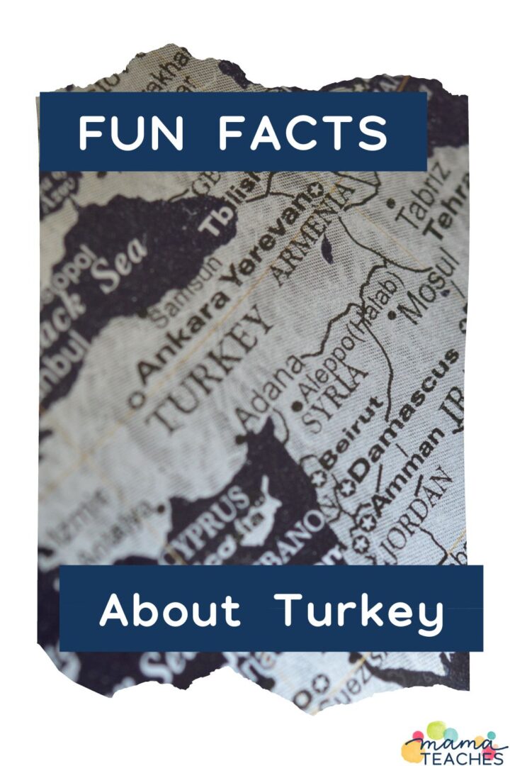 Fun Facts About Turkey - Mama Teaches