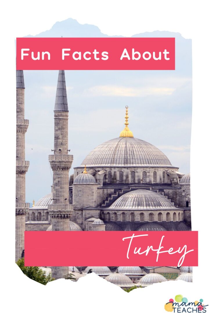 Fun Facts About Turkey - Mama Teaches