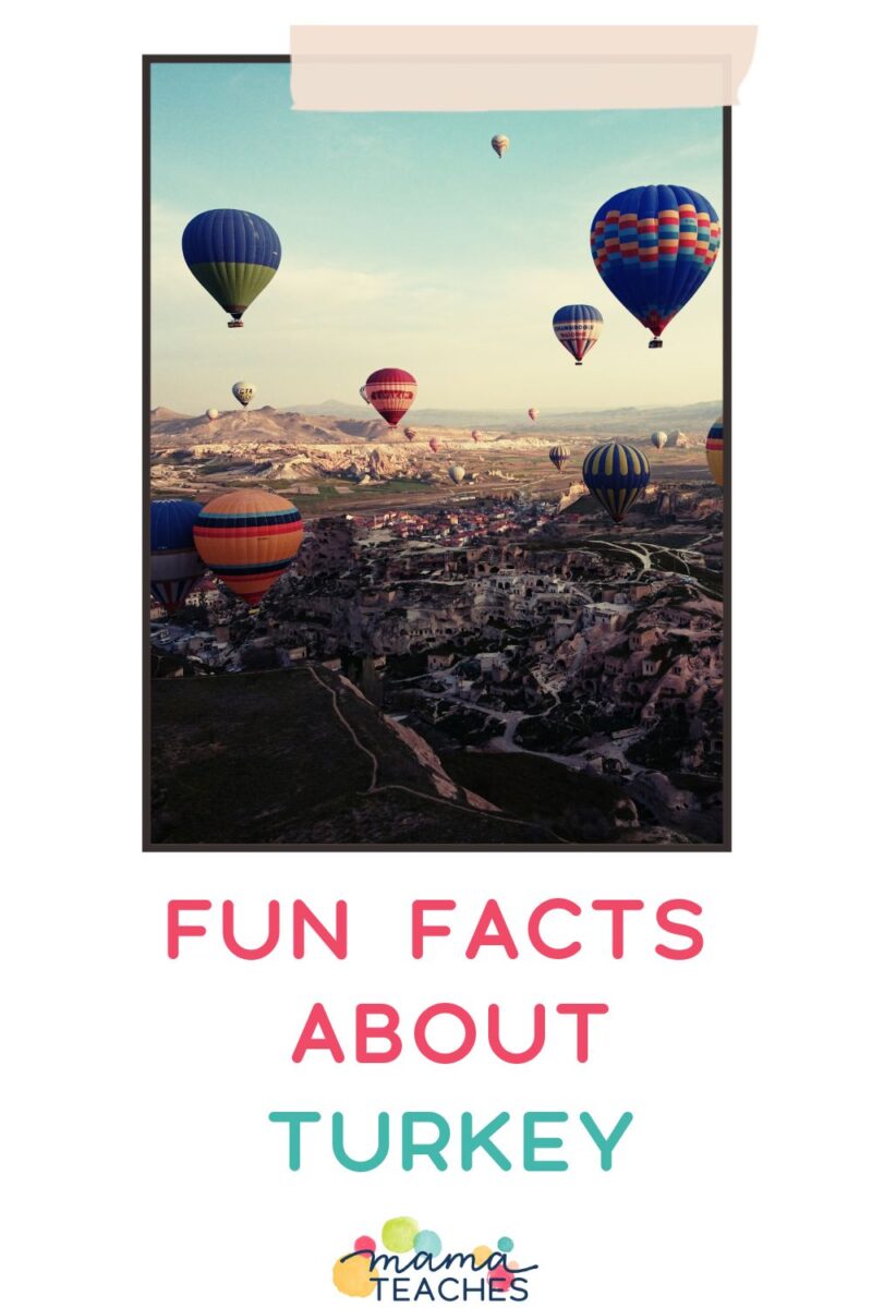 Fun Facts About Turkey - Mama Teaches