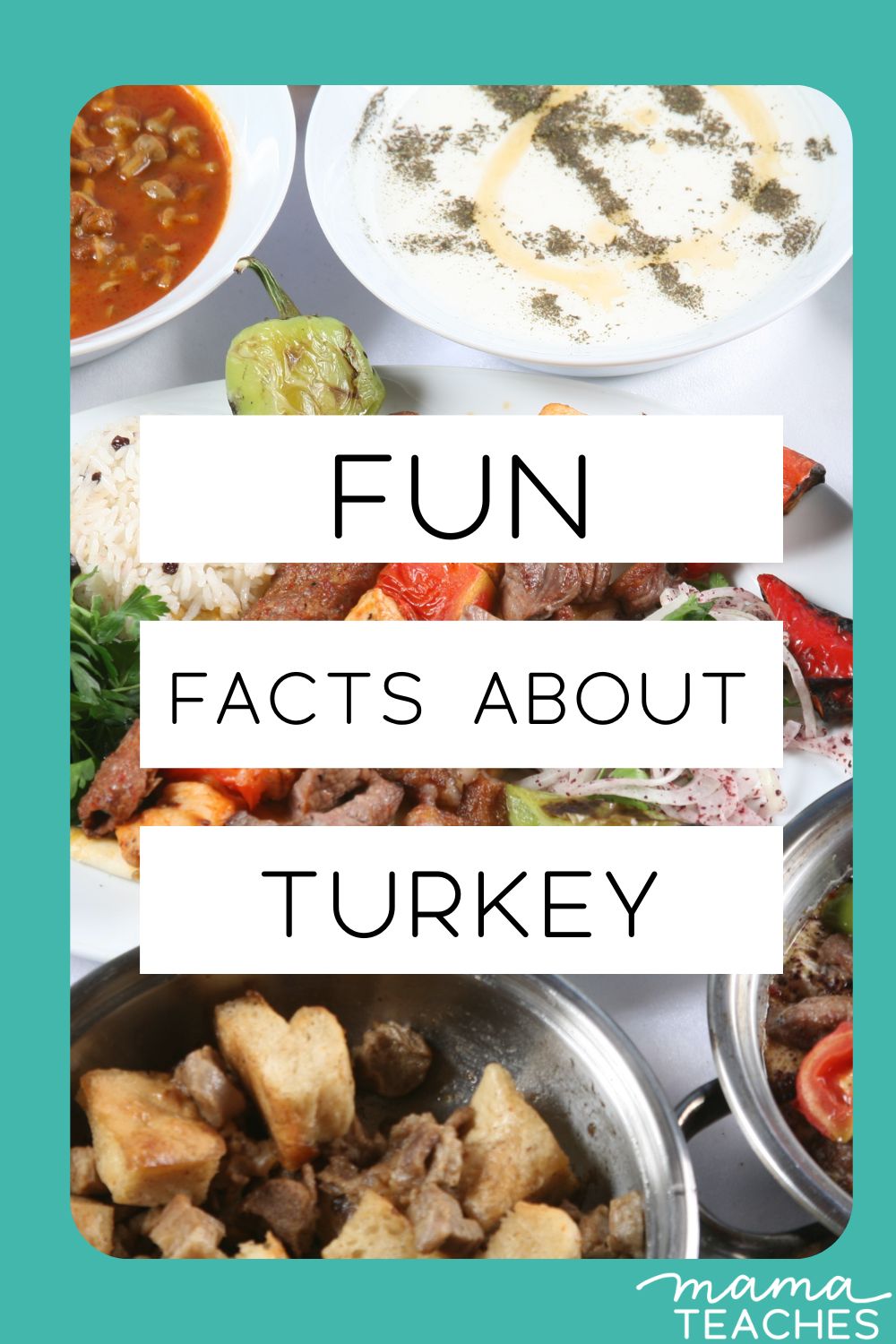 Fun Facts About Turkey - Mama Teaches