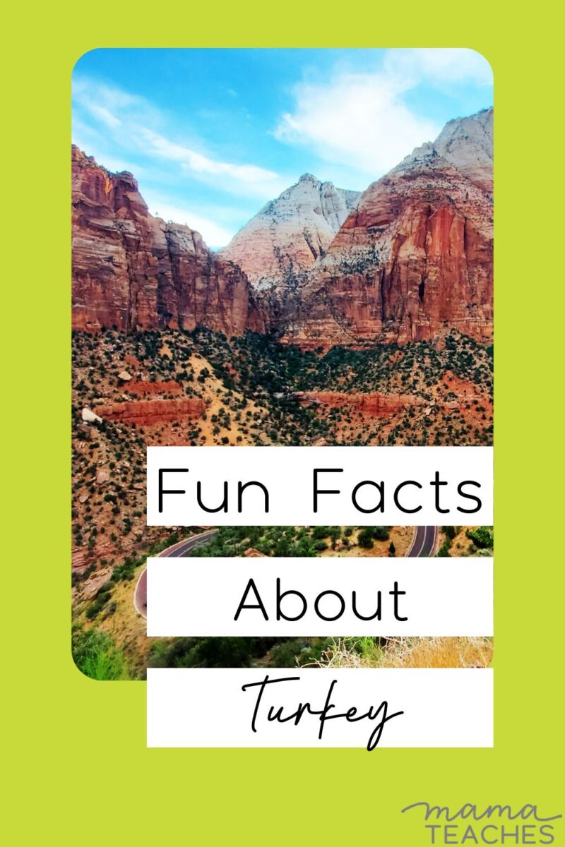 Fun Facts About Turkey - Mama Teaches