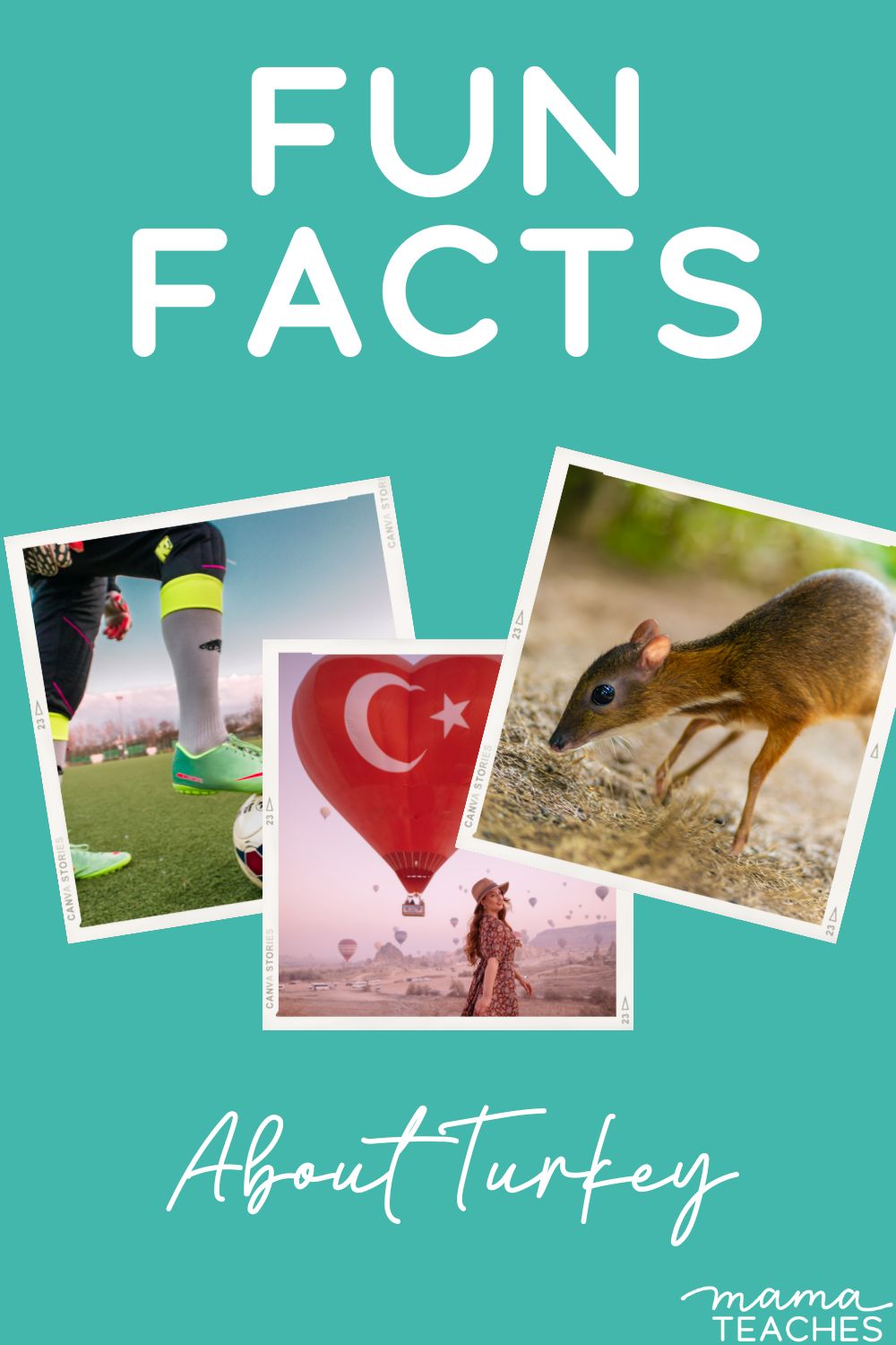 Fun Facts About Turkey - Mama Teaches