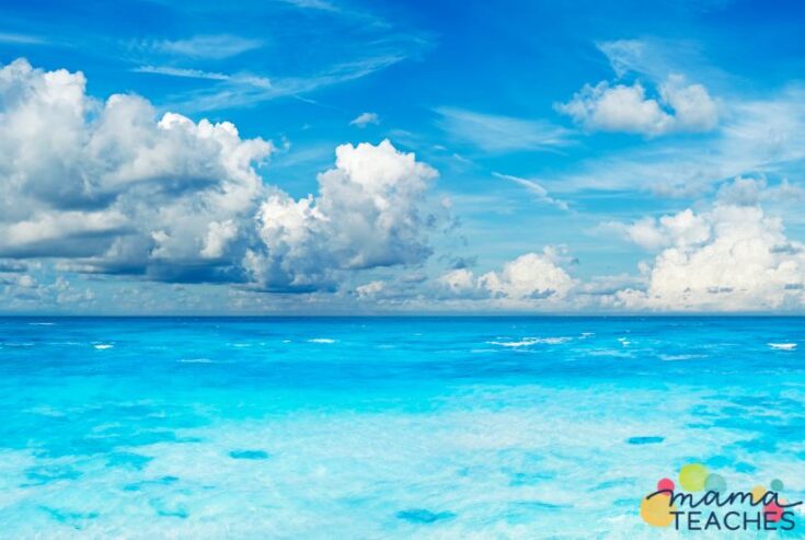 Fun Facts About the Ocean - Mama Teaches