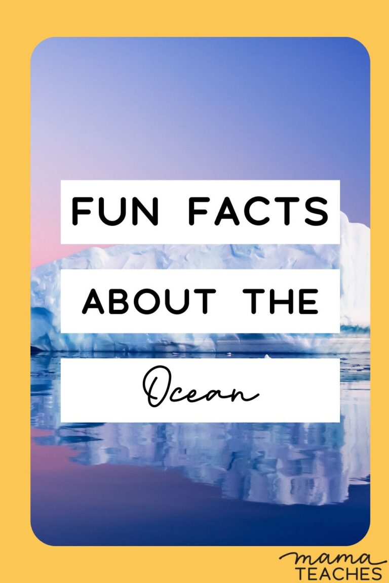 Fun Facts About the Ocean - Mama Teaches
