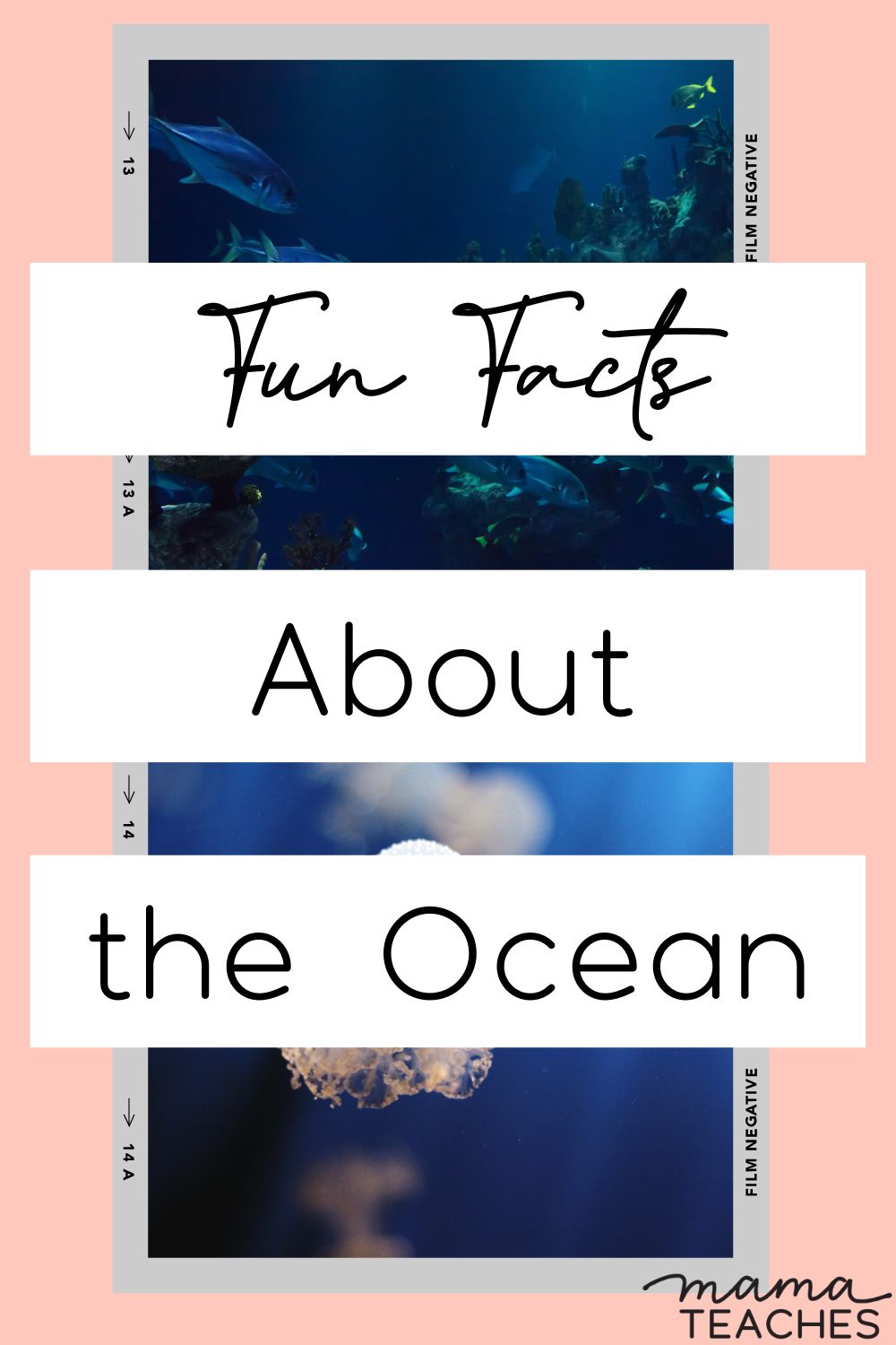 Fun Facts About the Ocean - Mama Teaches