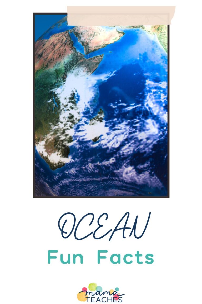 Fun Facts About the Ocean - Mama Teaches