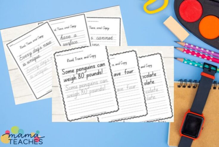 What to Put in a Summer Packet for Students - Mama Teaches