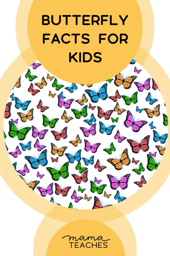 Butterfly Facts for Kids - Mama Teaches
