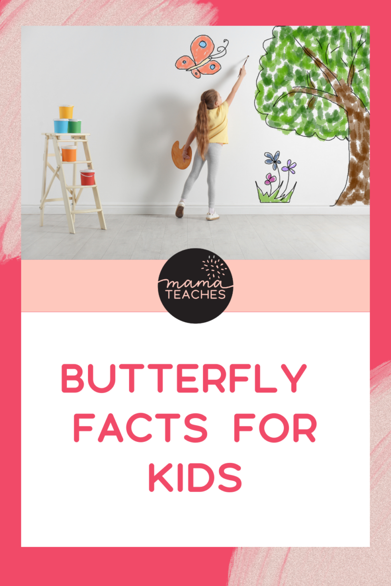 Butterfly Facts for Kids - Mama Teaches