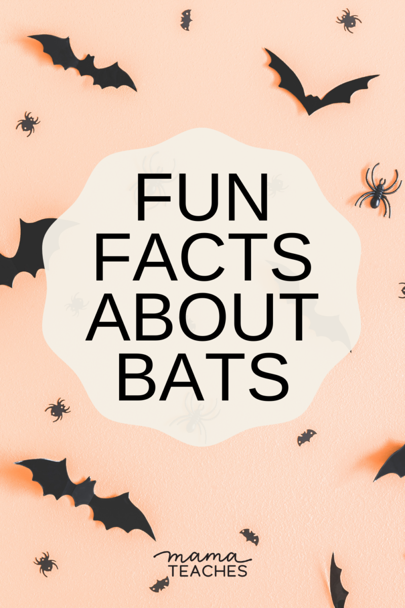 Fun Facts About Bats Mama Teaches