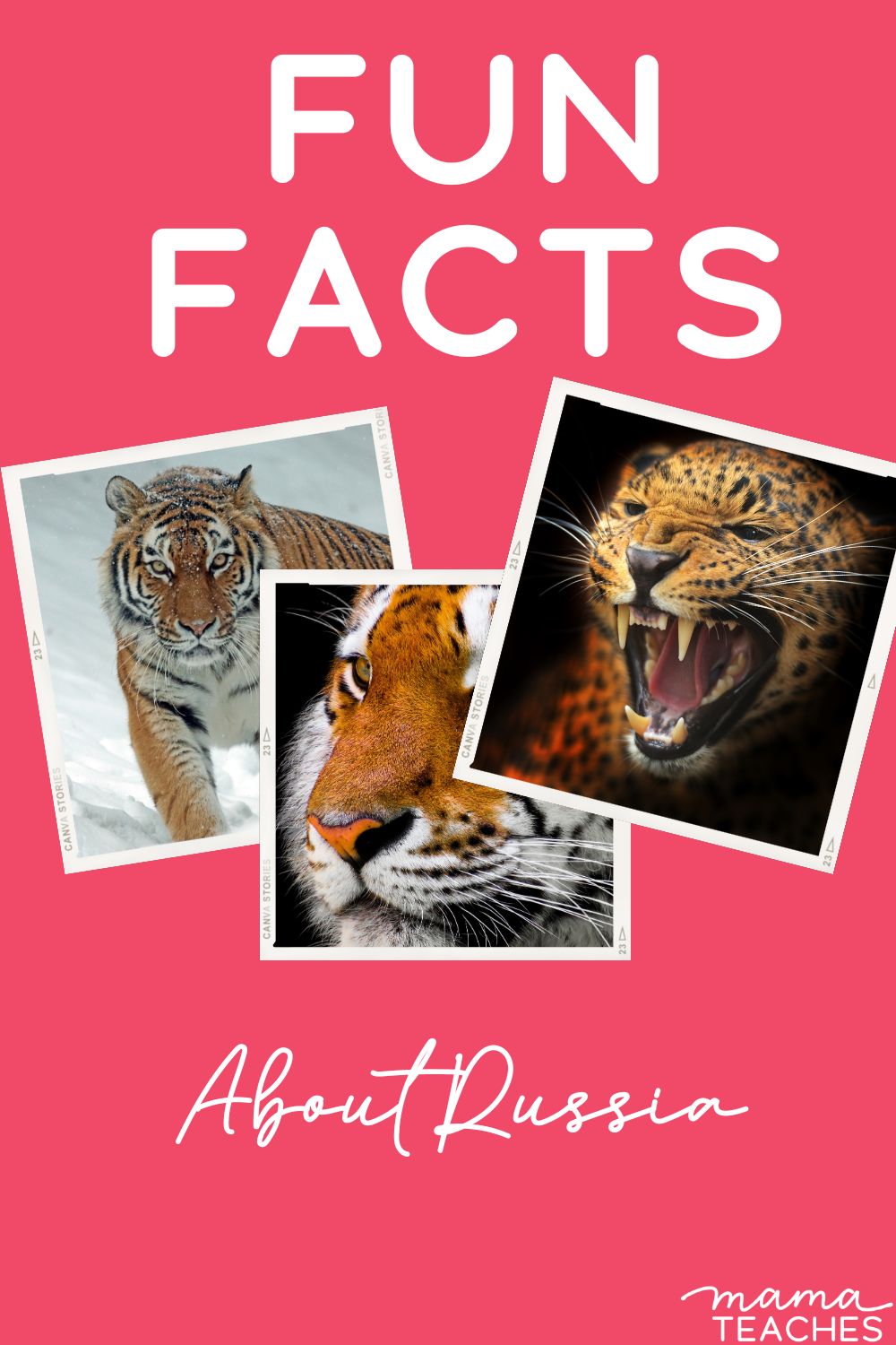 Fun Facts About Russia - Mama Teaches