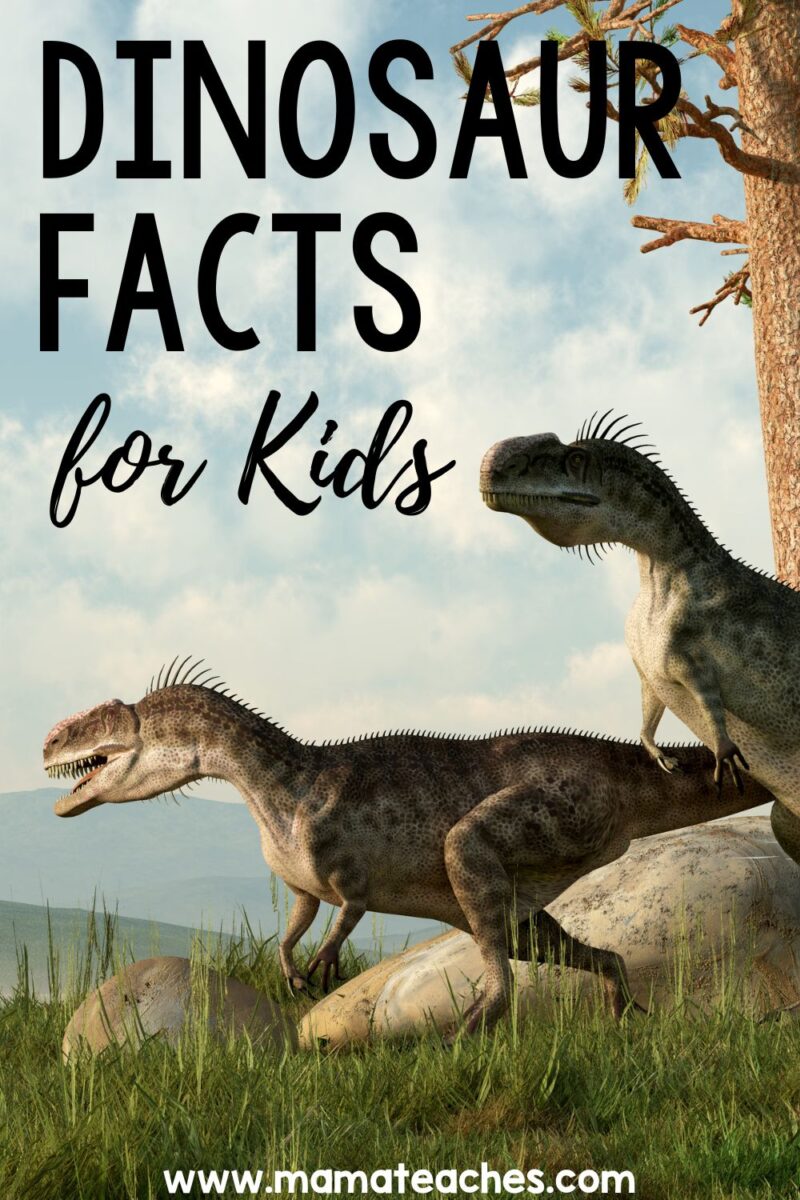 Dinosaur Facts for Kids - Mama Teaches
