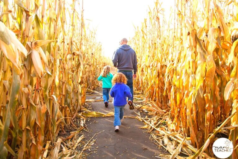 101+ Fantastic and Fun Fall Activities for Kids - Mama Teaches