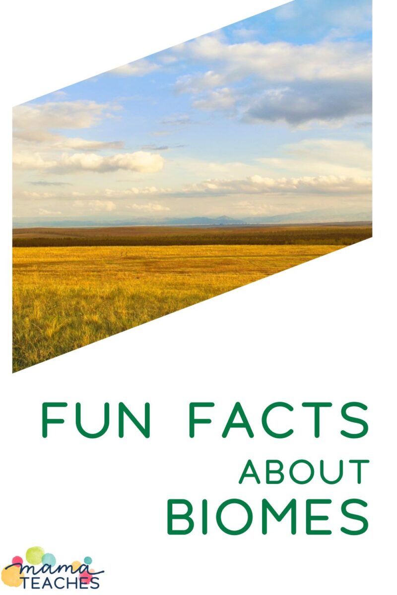 Fun Facts About Biomes - Mama Teaches
