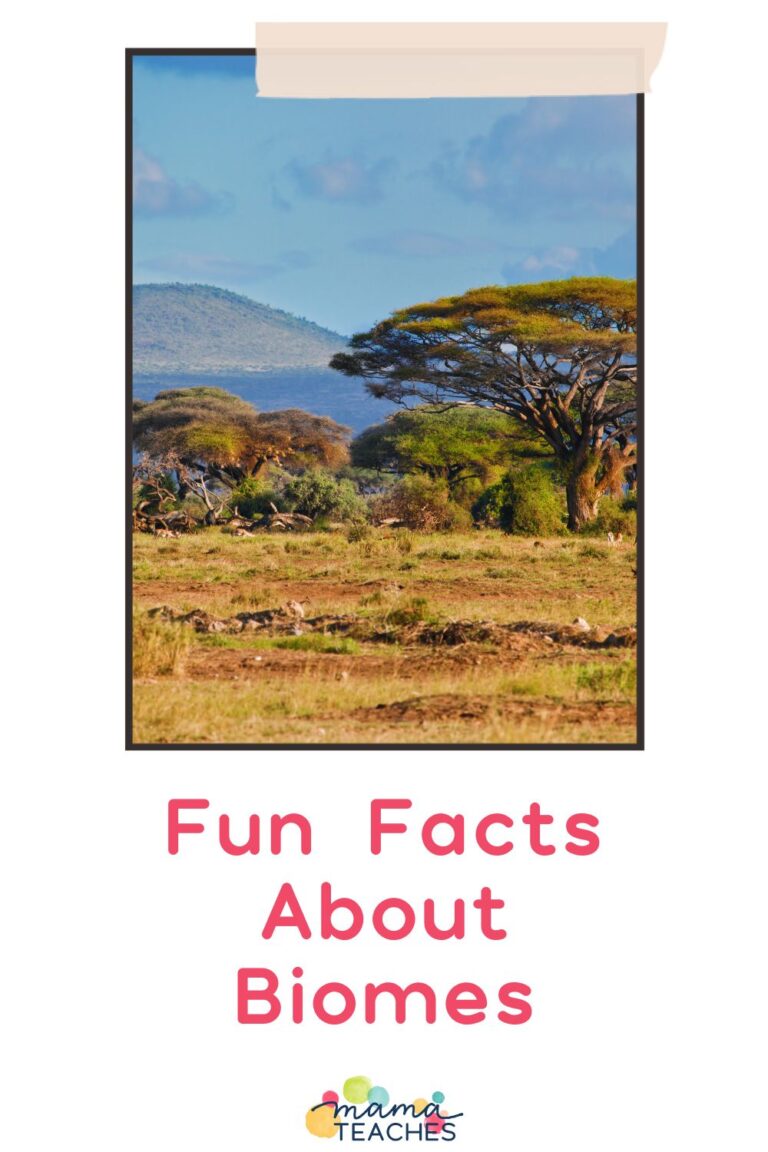 Fun Facts About Biomes - Mama Teaches