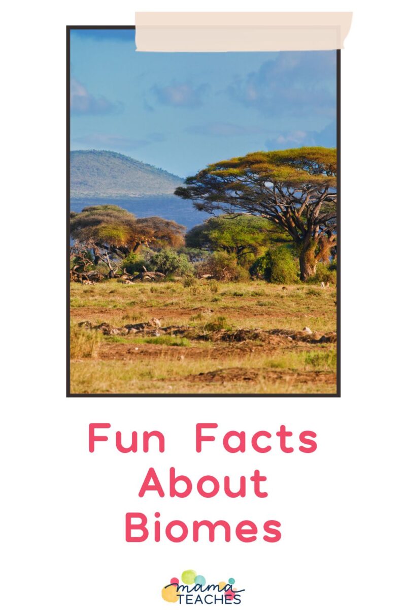 Fun Facts About Biomes - Mama Teaches