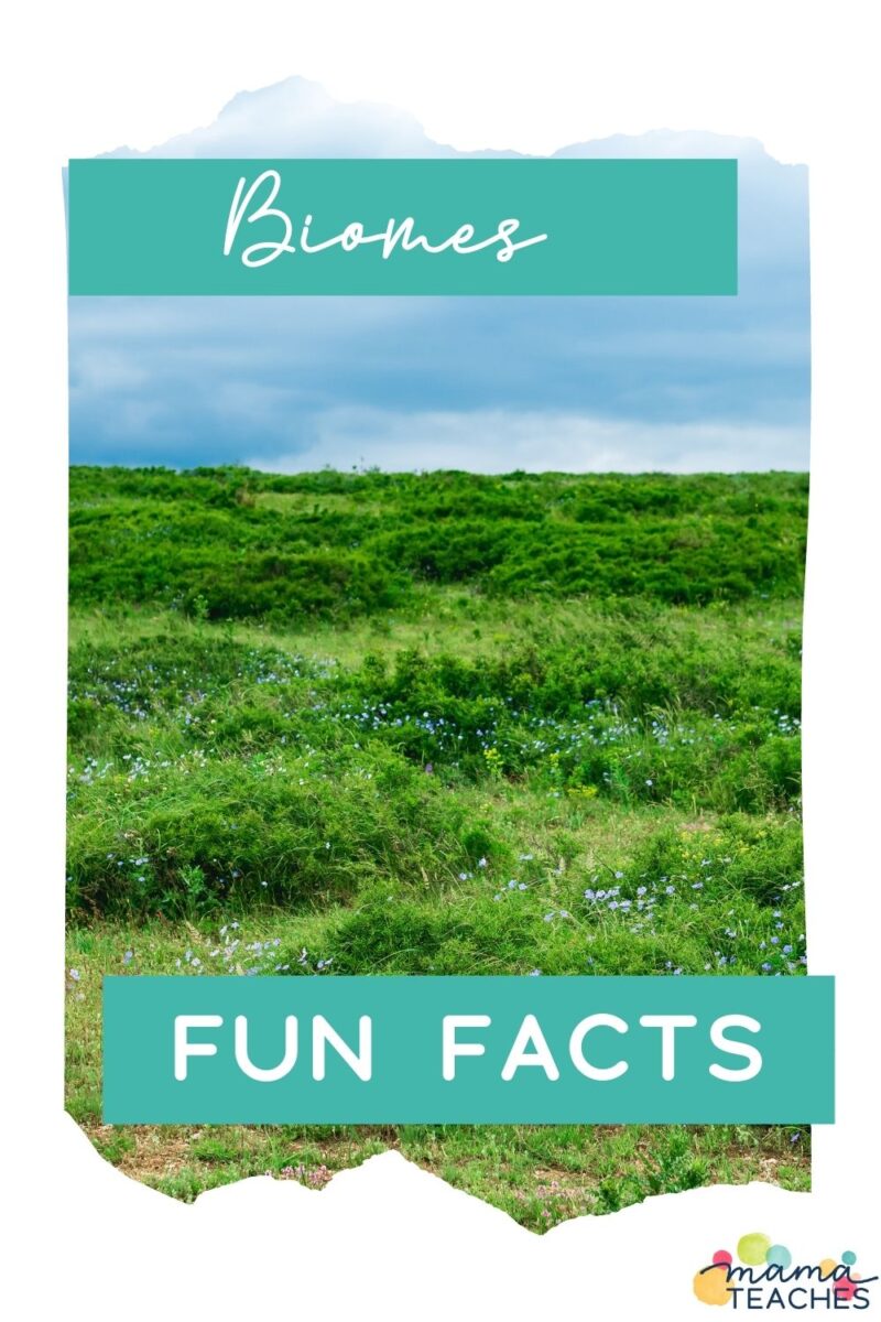 Fun Facts About Biomes - Mama Teaches