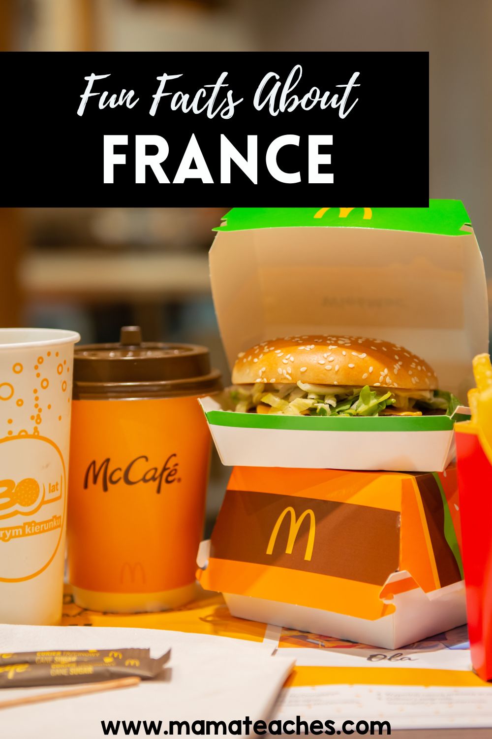 Fun Facts About France - Mama Teaches