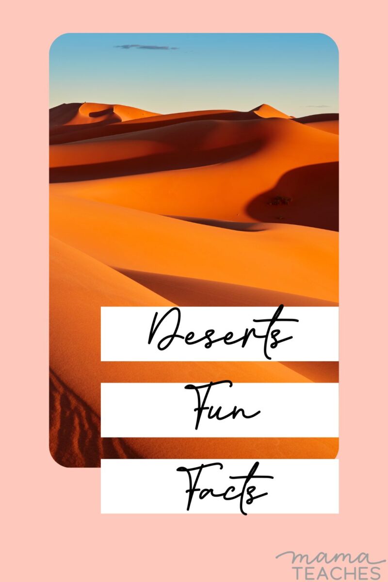 Fun Facts About Deserts - Mama Teaches
