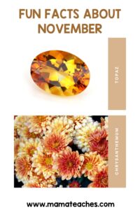 Fun Facts About November for Kids - Mama Teaches