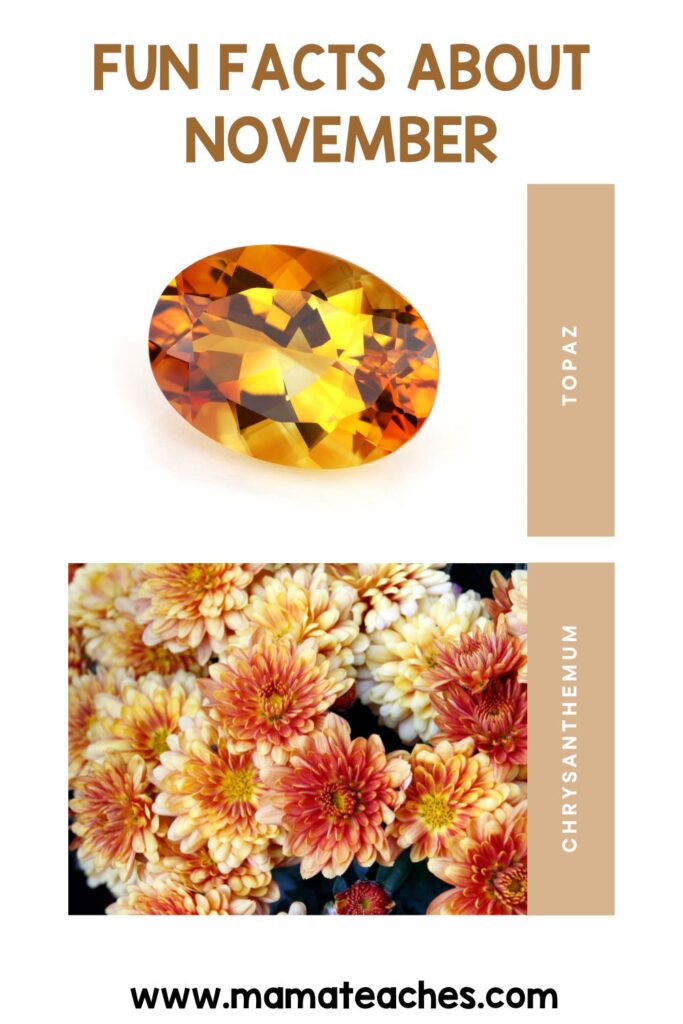 Fun Facts About November for Kids - Mama Teaches