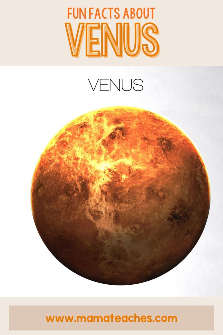 Fun Facts About Venus - Mama Teaches
