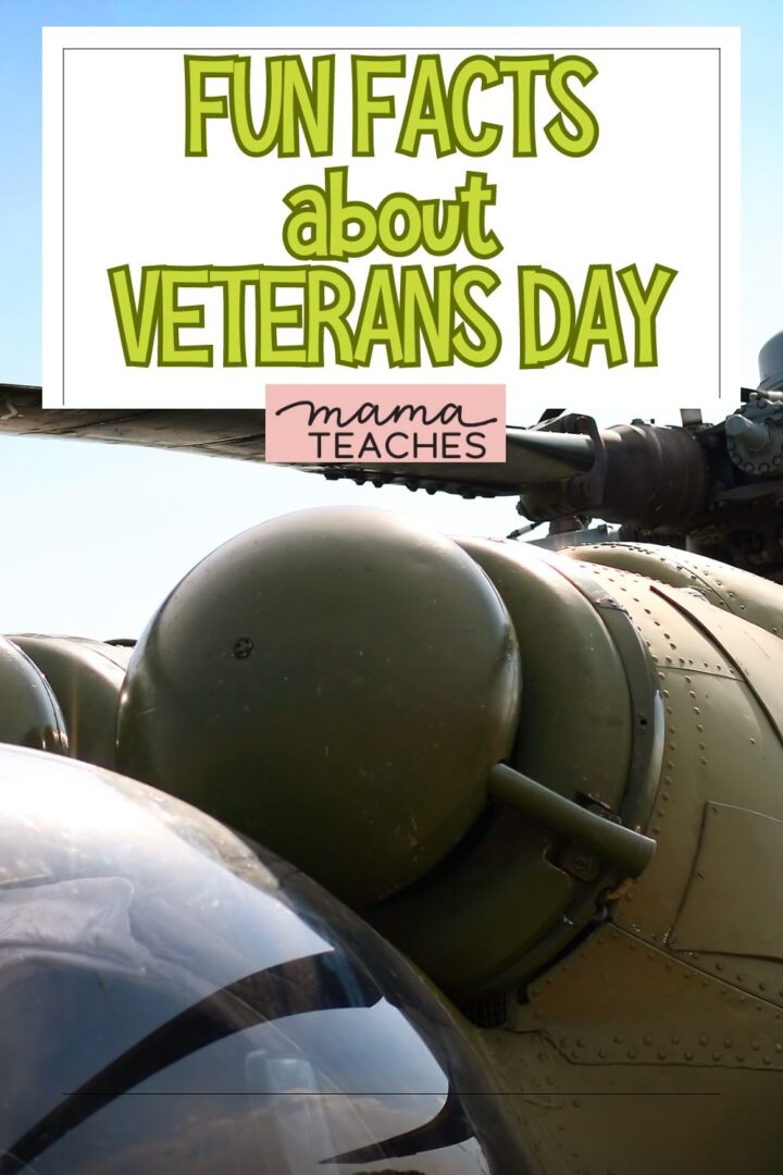 Fun Facts About Veterans Day - Mama Teaches
