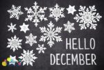 Fun Facts About December - Mama Teaches