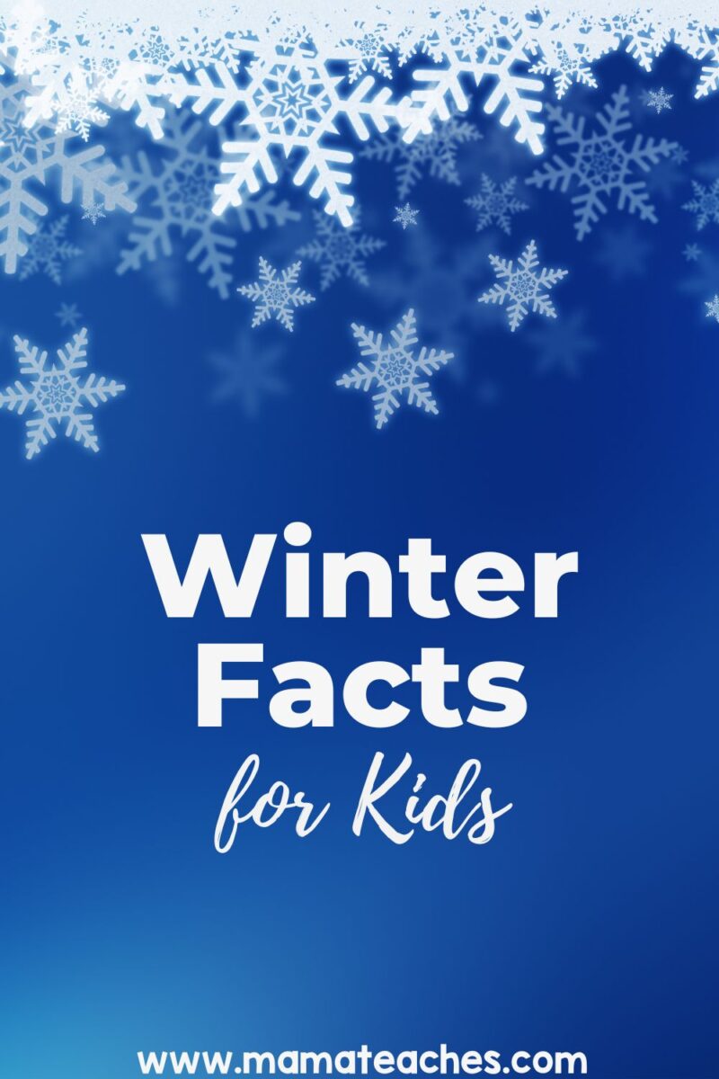 Winter Facts for Kids - Mama Teaches