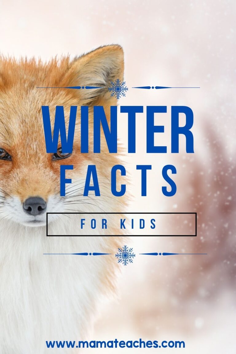 Winter Facts for Kids - Mama Teaches