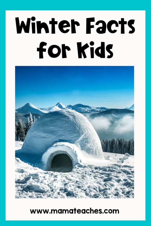 Winter Facts for Kids - Mama Teaches