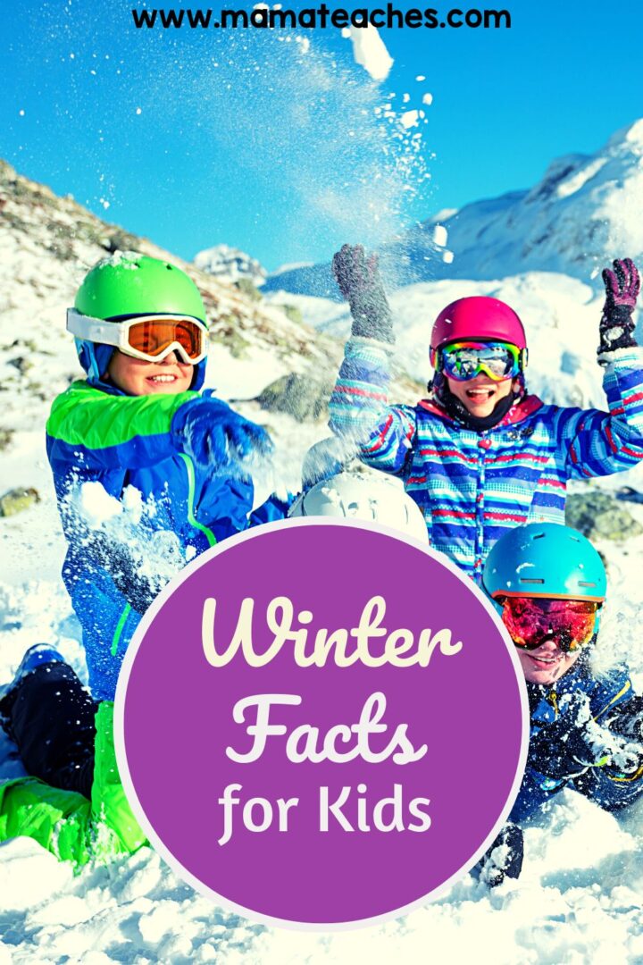 Winter Facts for Kids - Mama Teaches