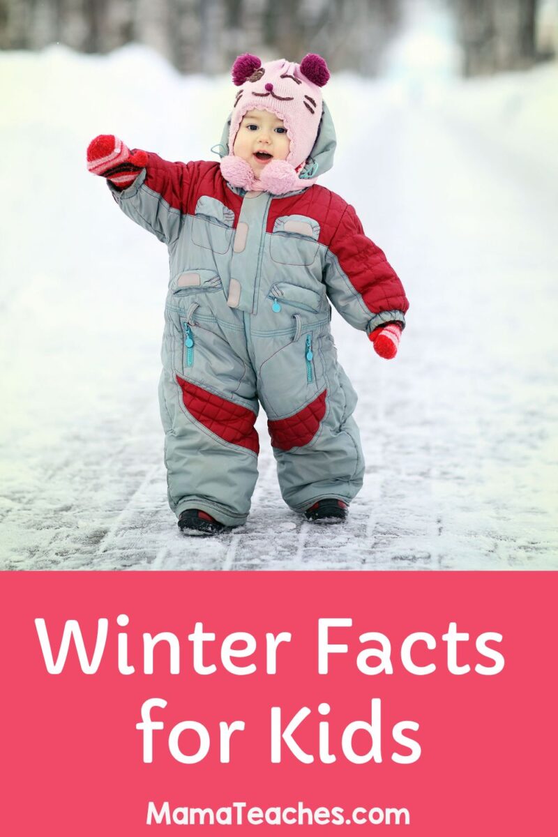 Winter Facts for Kids - Mama Teaches