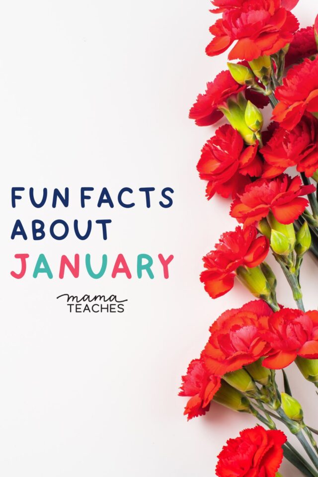Fun Facts About January - Mama Teaches