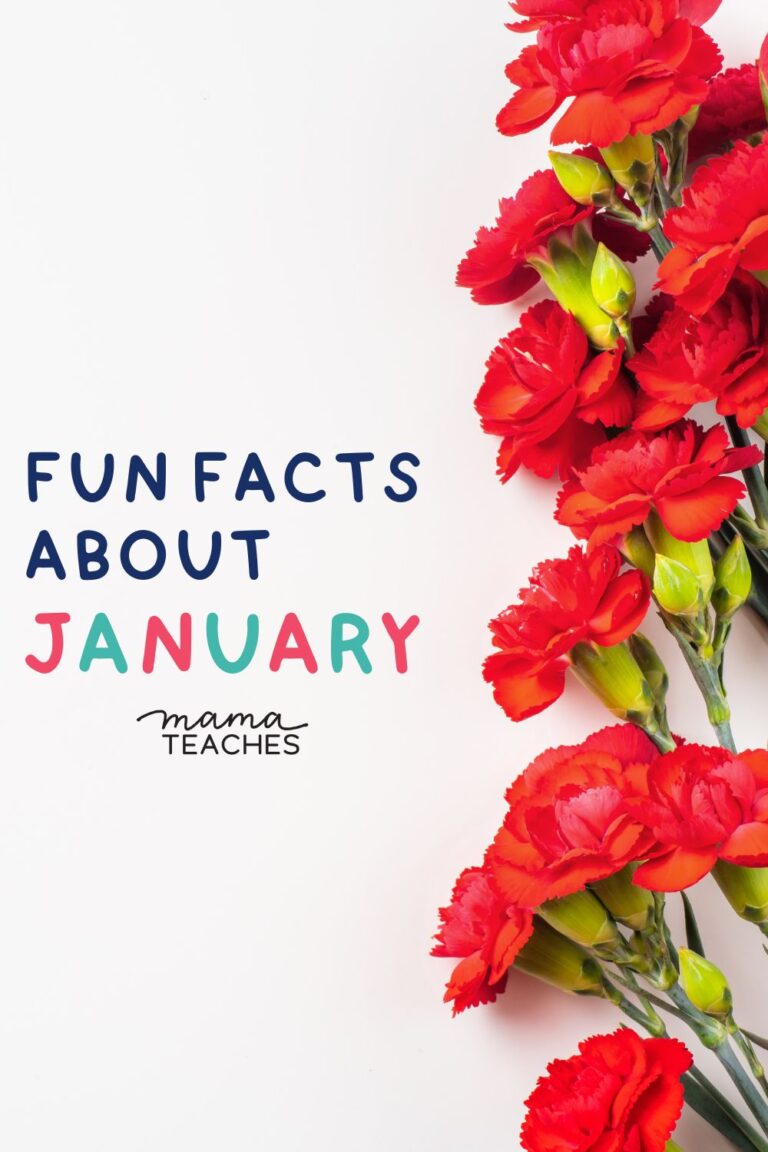 Fun Facts About January - Mama Teaches