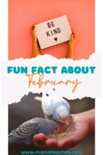 Fun Facts About February - Mama Teaches