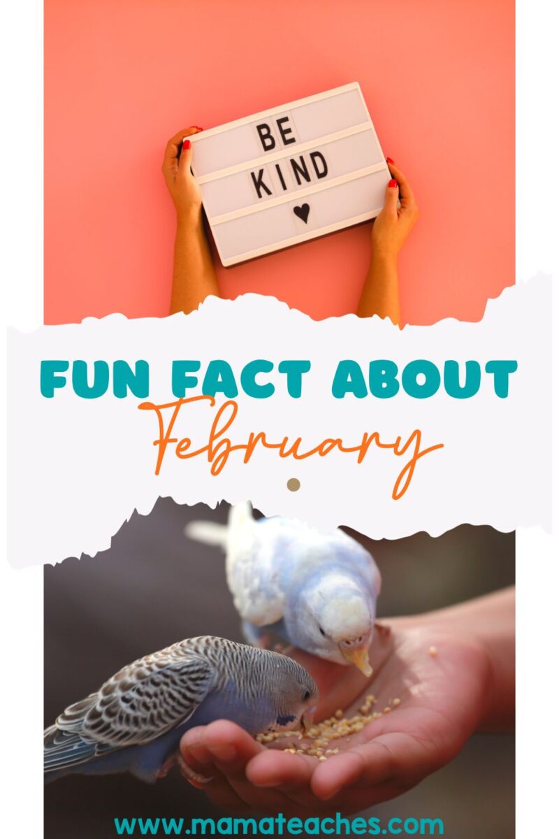 Fun Facts About February - Mama Teaches