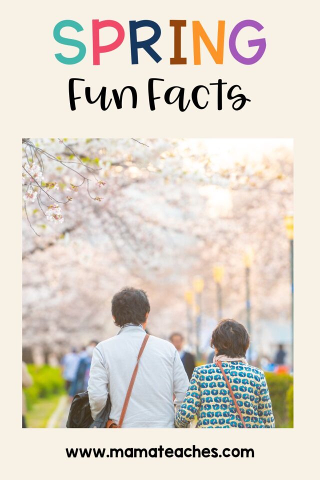 Fun Facts About Spring - Mama Teaches