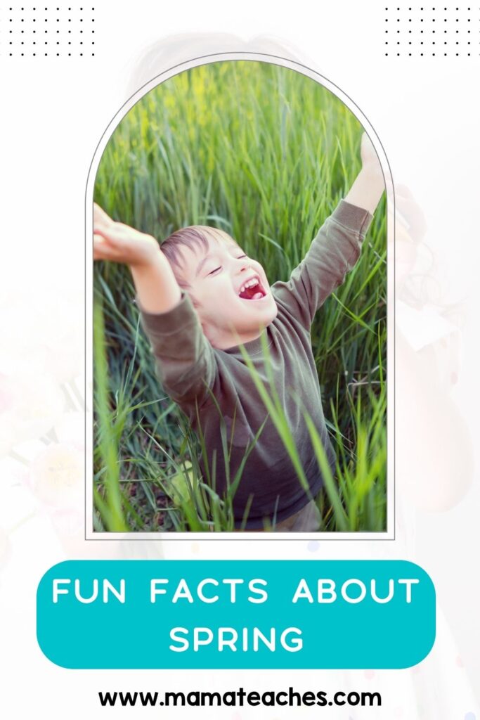 Fun Facts About Spring - Mama Teaches