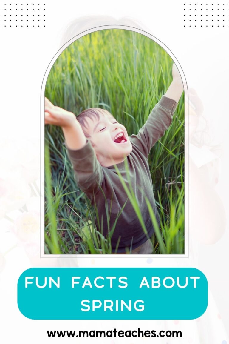 Fun Facts About Spring - Mama Teaches