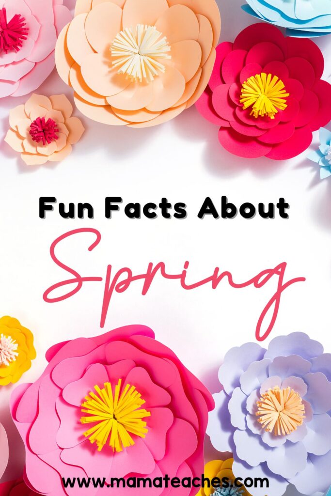 Fun Facts About Spring - Mama Teaches