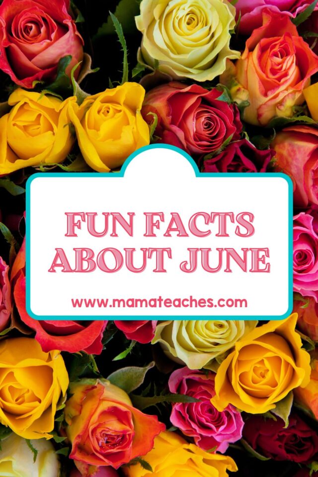 Fun Facts About June - Mama Teaches
